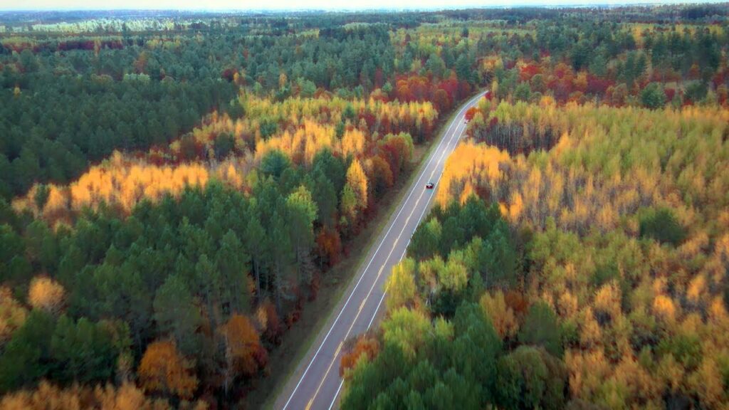 Megan Hamilton | Gravitas Recordings